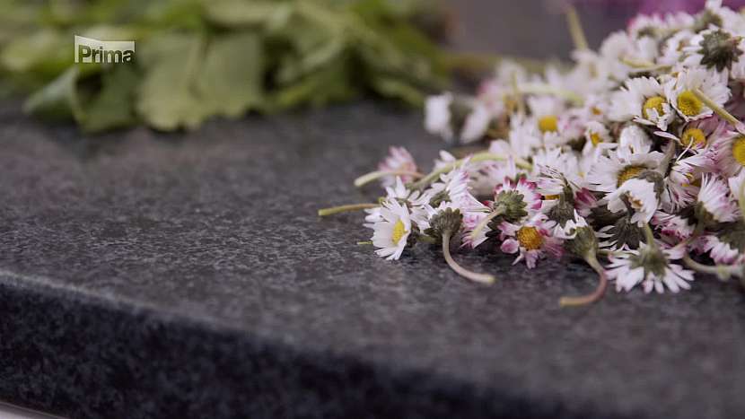 Jedlé rostliny | Primadoma.tv